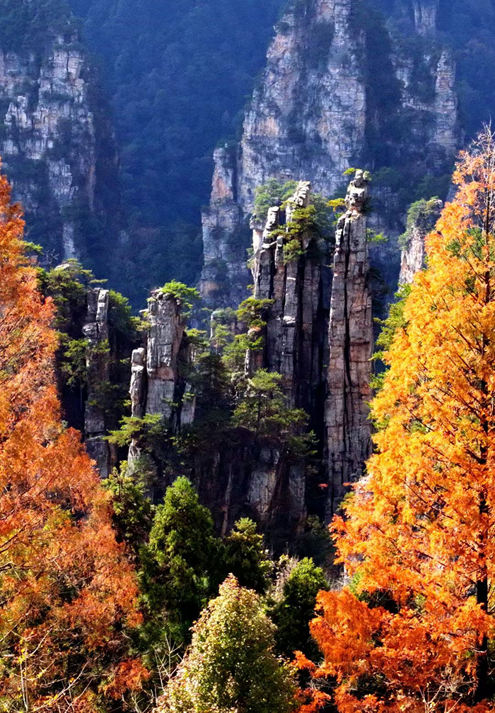 Tianzi Mountain's autumn flourish attracts tourists - Chinadaily.com.cn