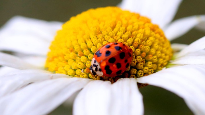 Ten photos from across China: May 1 - 7 - Chinadaily.com.cn