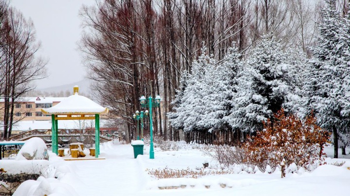 Snow blankets China's coldest town - Chinadaily.com.cn