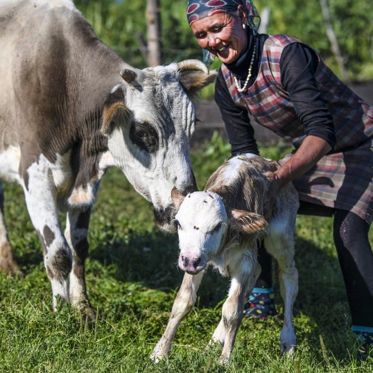 UN event reveals the real Xinjiang - Chinadaily.com.cn