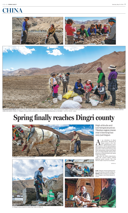 Spring finally reaches Dingri county - Chinadaily.com.cn