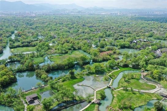 China making strides in wetlands conservation efforts - Chinadaily.com.cn