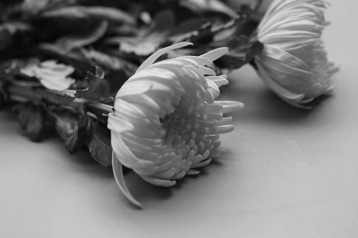 Comrade Jiang Zemin's funeral committee formed - Chinadaily.com.cn