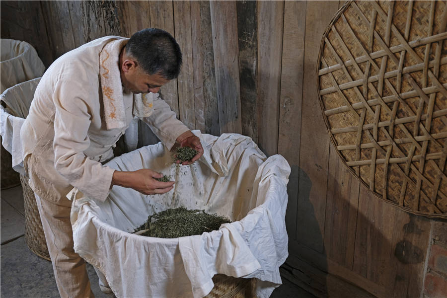 Spotlight on Sichuan as center of tea-making heritage - Chinadaily.com.cn