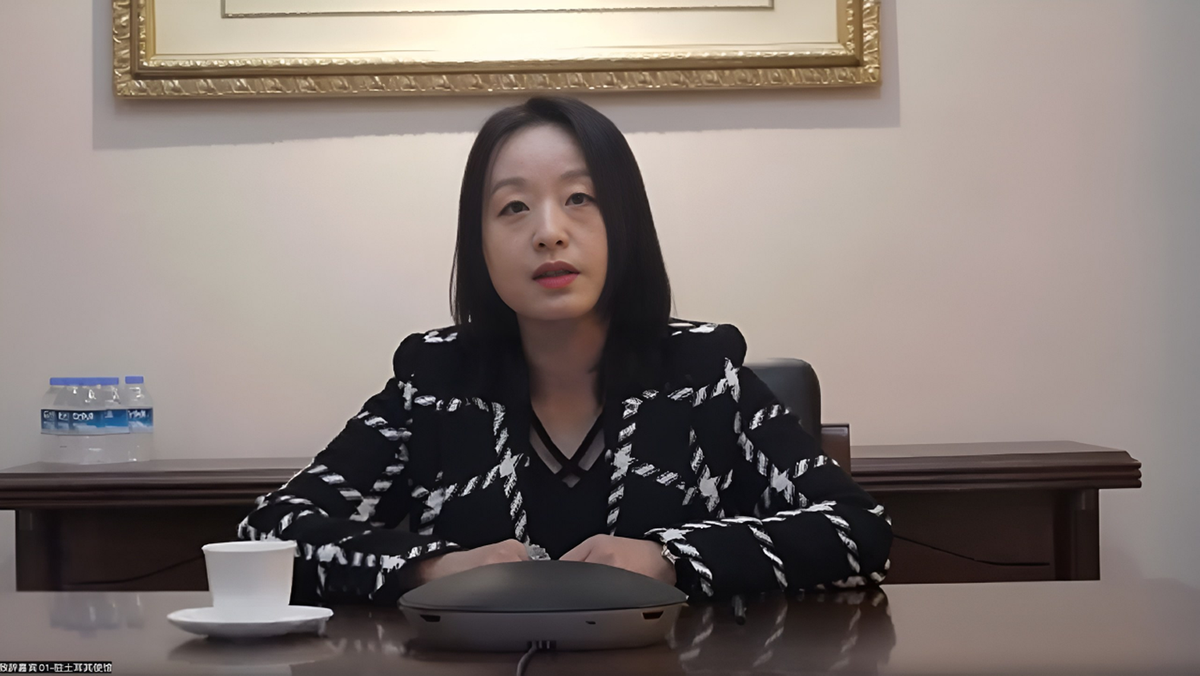 Chinese firms facilitate green development in Turkey - Opinion ...