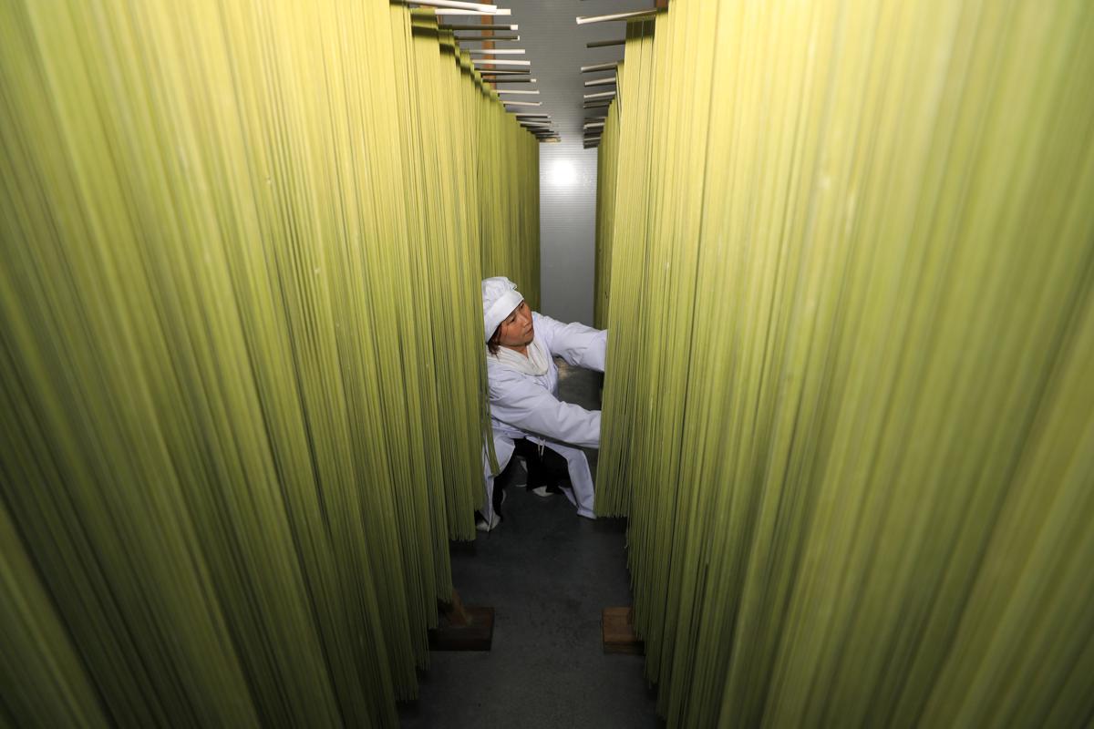 Guizhou county spins matcha green into gold - Chinadaily.com.cn