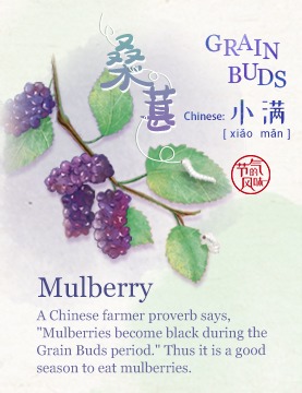Poster - Chinadaily.com.cn