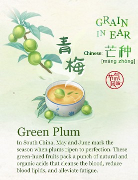 Poster - Chinadaily.com.cn