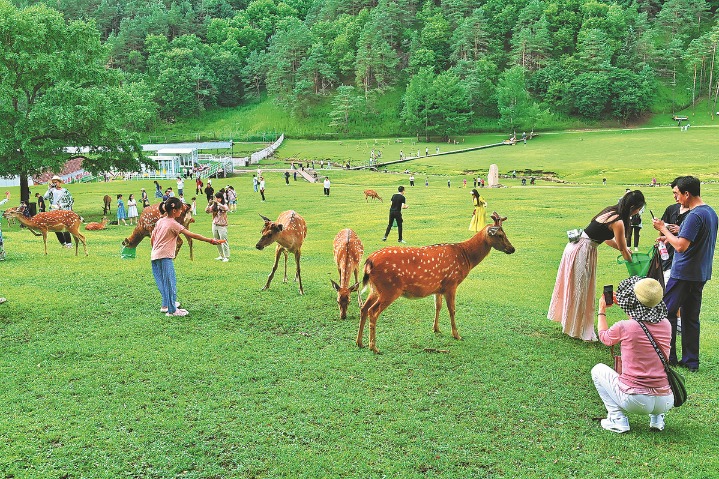 Heilongjiang rides rail tourism wave - chinaculture.org