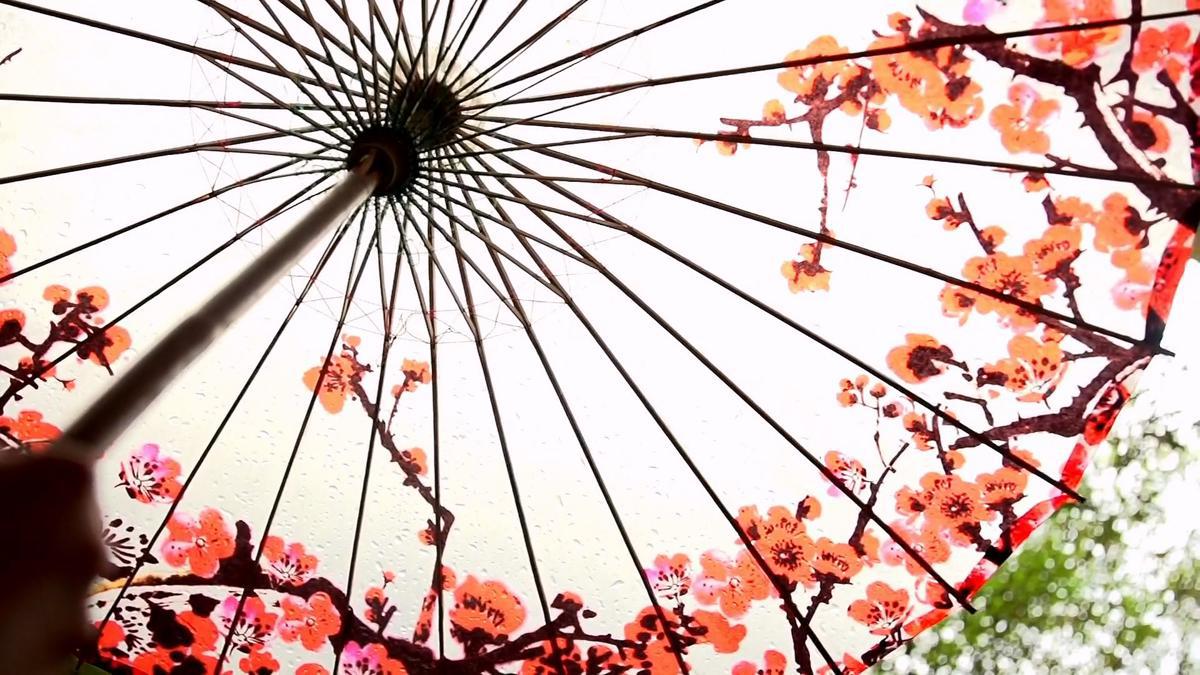 Maker of traditional umbrellas seeks successors - Chinadaily.com.cn