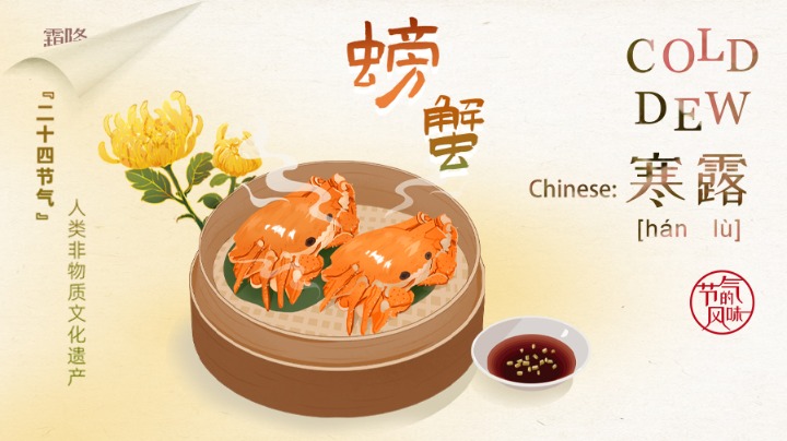 24 Solar Terms: 8 things you may not know about Cold Dew - Chinadaily ...