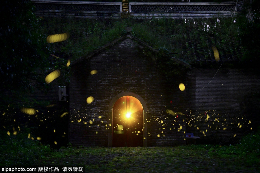 24 Solar Terms: 6 things you may not know about Minor Heat - Chinadaily ...